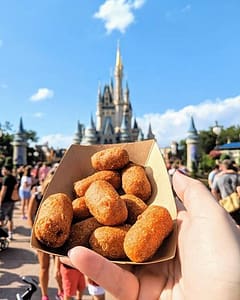 Everything You Need to Know About the Disney Dining Plan – Molly's Travels