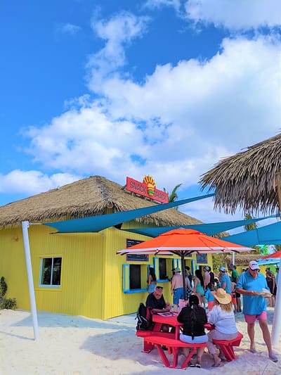 Everything You Need to Know About Royal Caribbean’s Perfect Day at ...