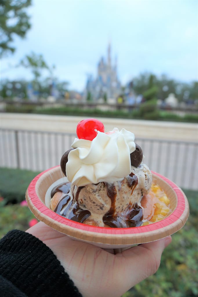 Everything You Need to Know About the Disney Dining Plan – Molly's Travels