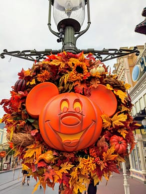 disney fall events